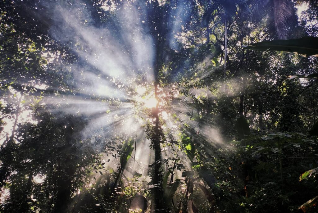 15 Simple Ways To Start A Spiritual Morning Routine – Living In Her Moment